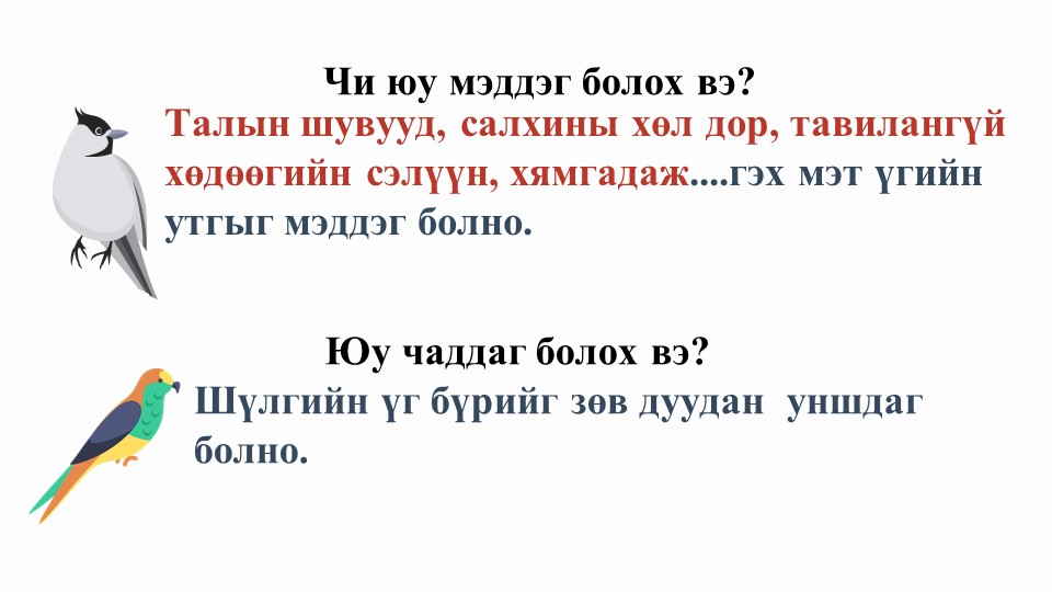 Мэдлээ Цахим контент